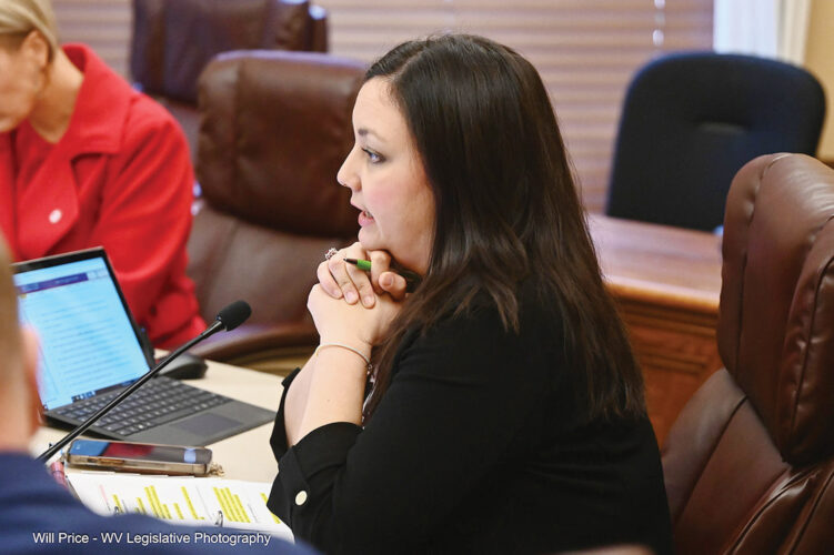 Chapman resigns as health committee chair | News, Sports, Jobs - The ...